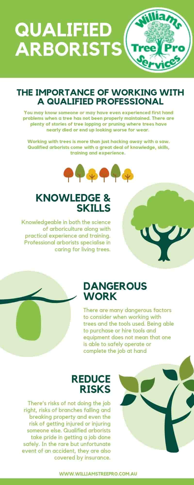 The Importance of Working with a Qualified Arborist